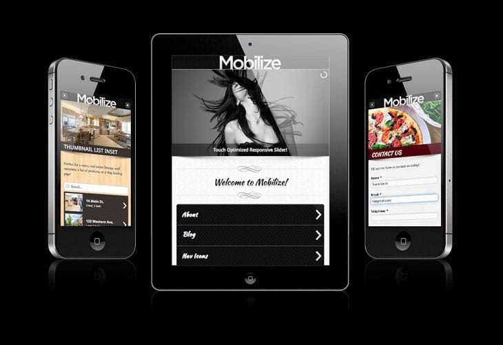 25 High Quality Premium Mobile Themes For WordPress