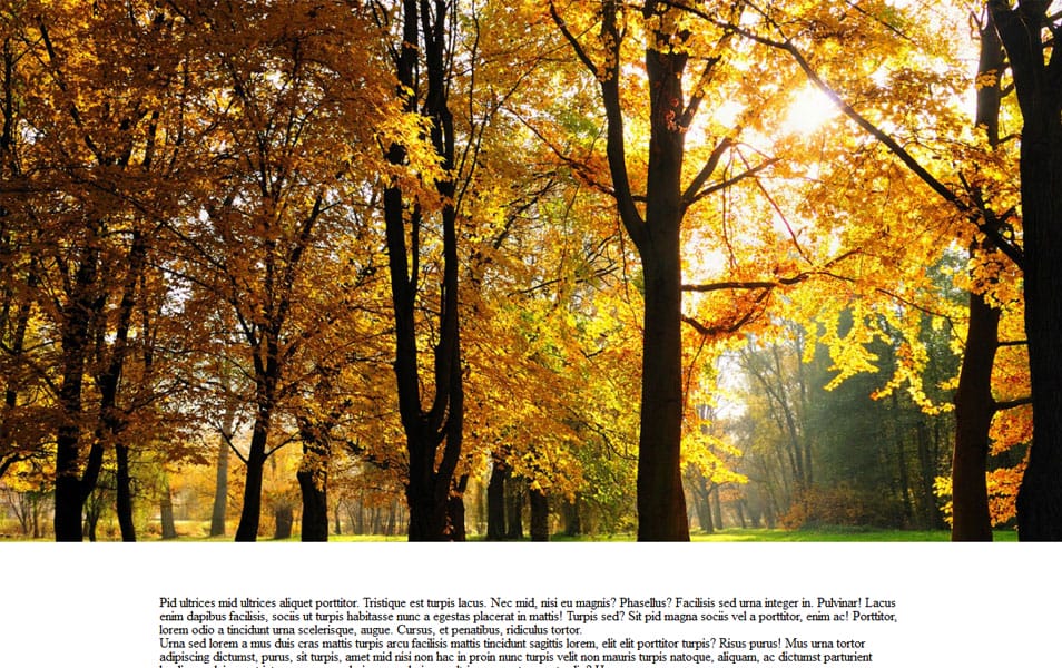 Best Jquery Scrolling Plugins For Websites Believe The Logic