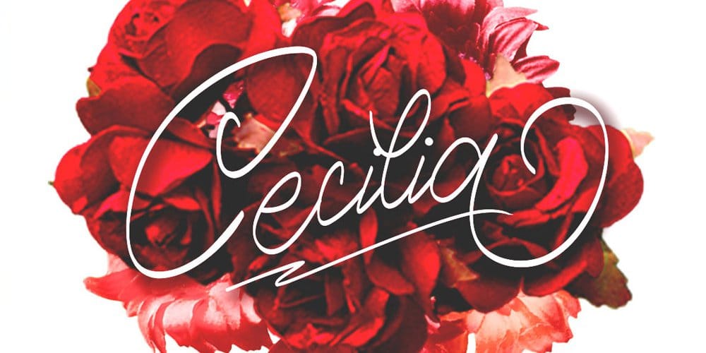 50 + Free Script Fonts for Designers » CSS Author